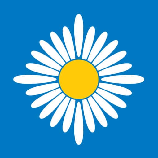 Daisy First Aid Croydon - Daisy First Aid